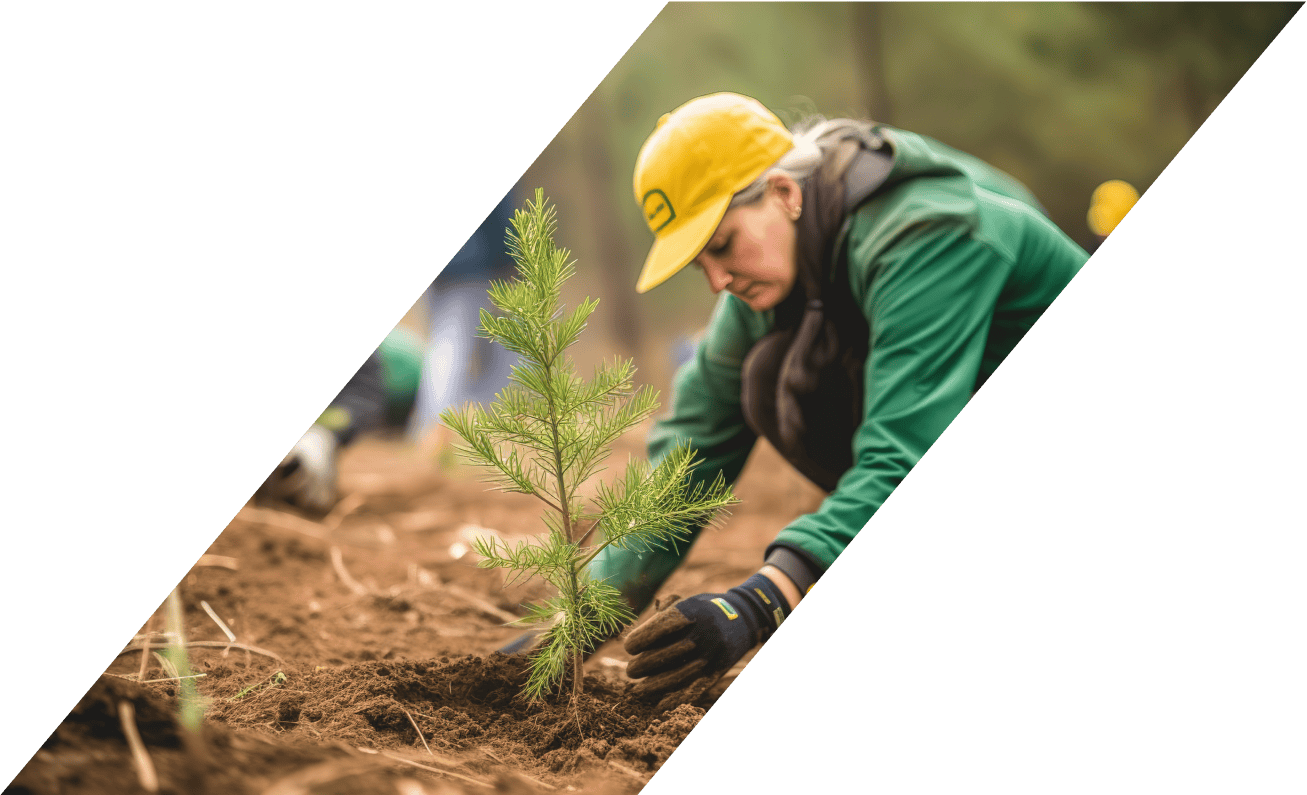 Managed IT | Cyber security services | Texaport